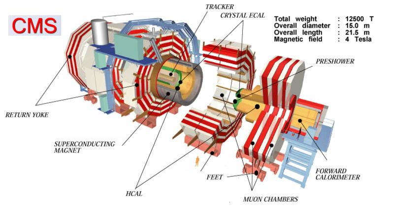 Taking a closer look at LHC - CMS